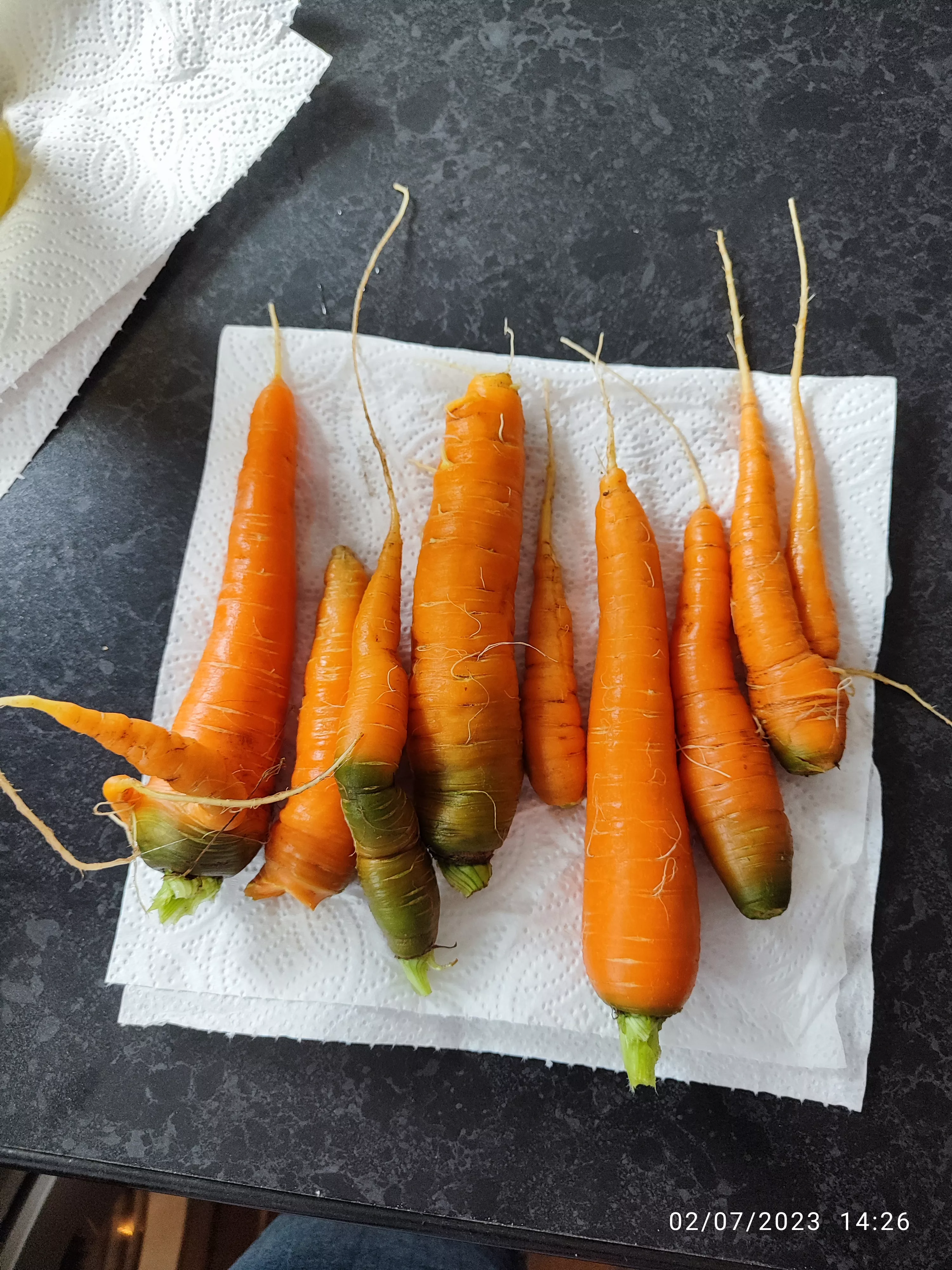 Home [royalberkshire.greenrewards.co.uk]